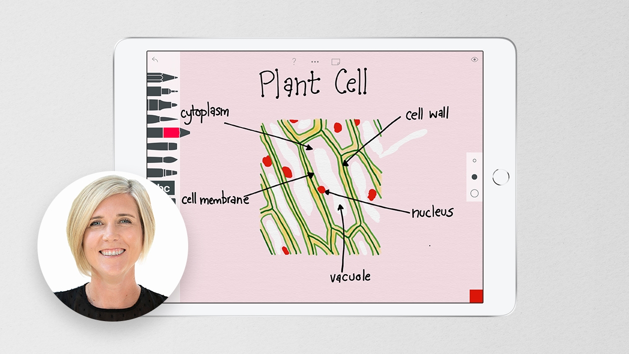 Comparing Animal Traits - Apple Education Community