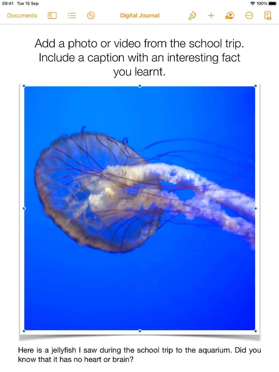 Activate: Use a Digital Journal - Apple Education Community