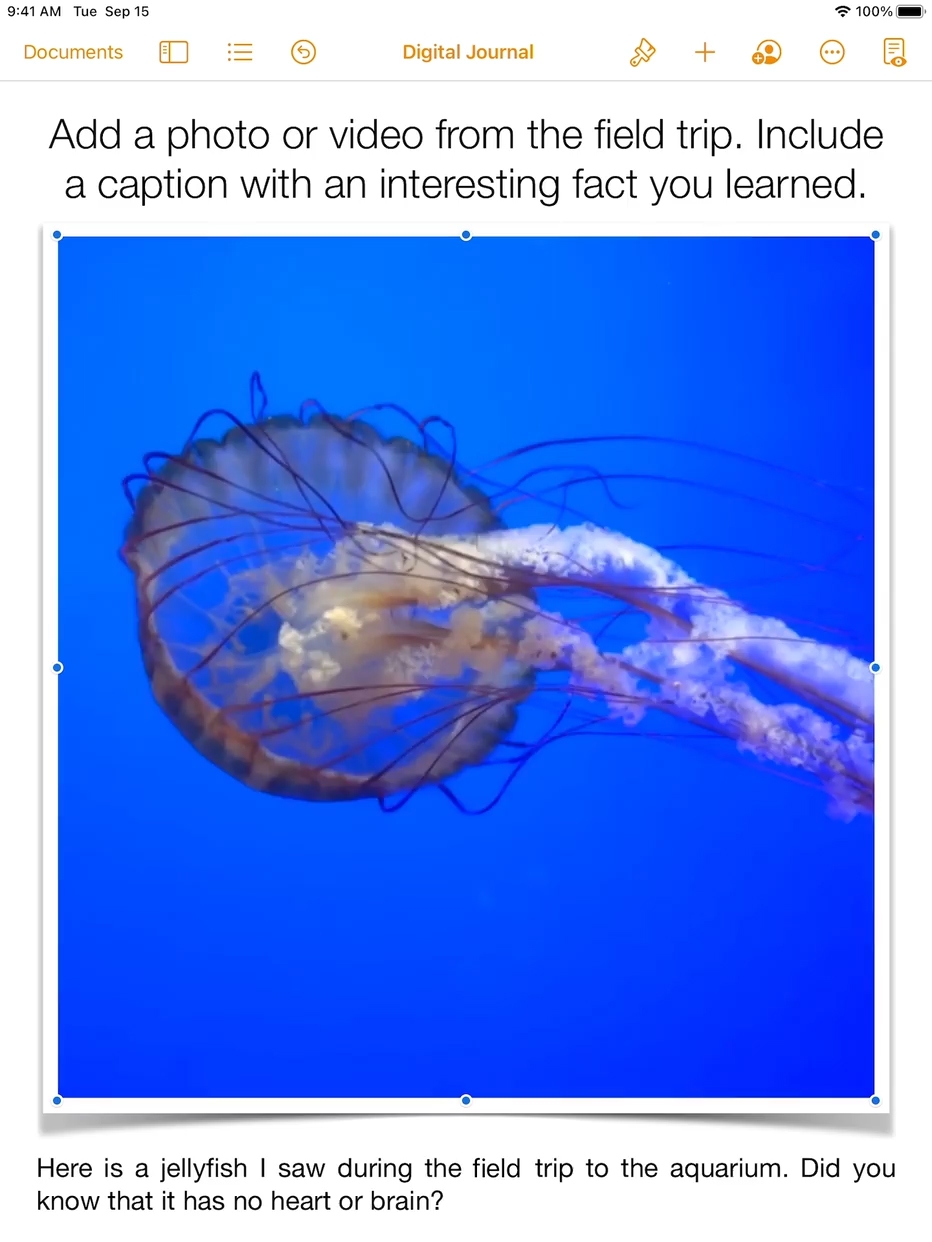 Activate: Use a Digital Journal - Apple Education Community